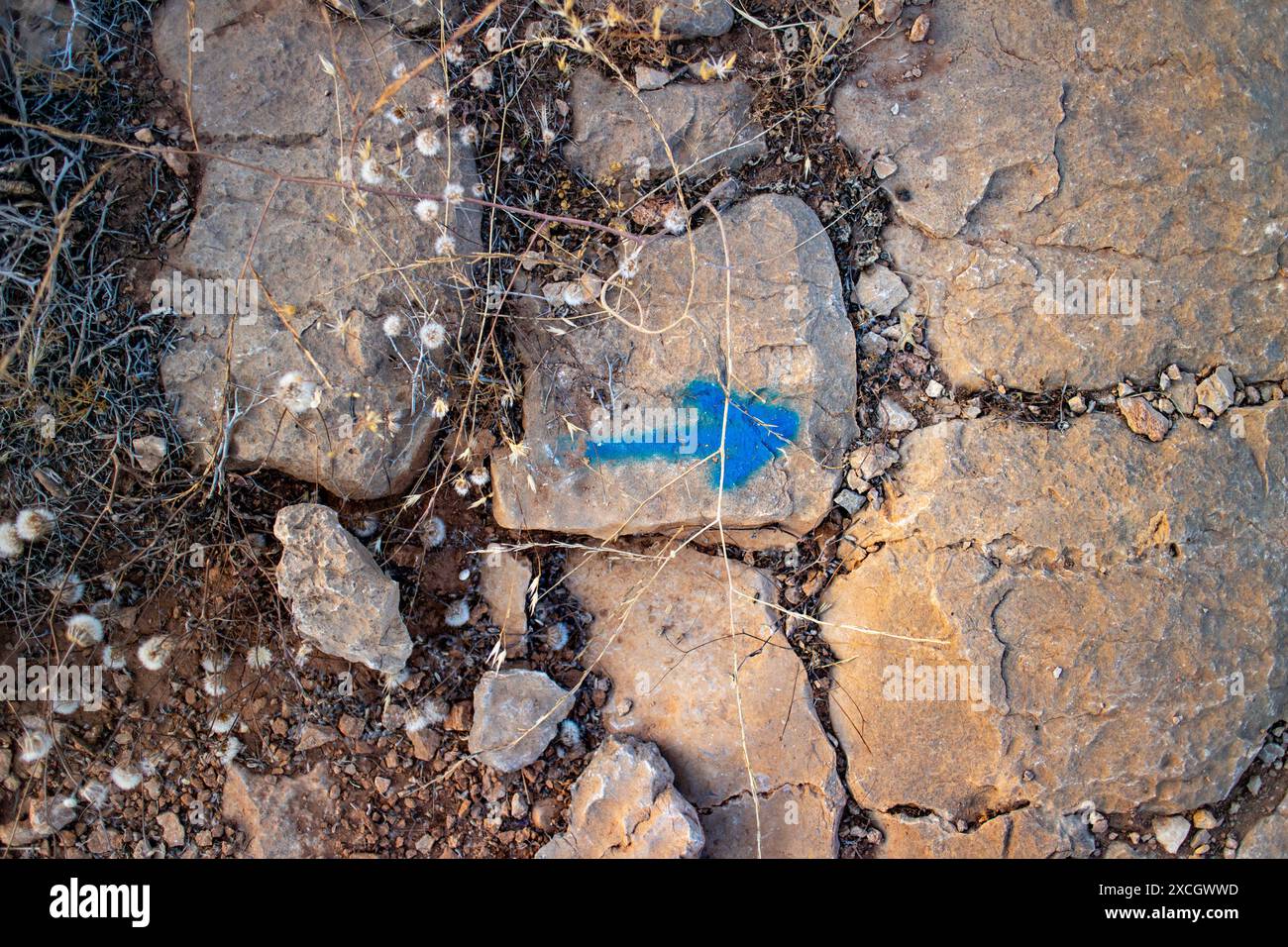 Foot path up mountain hi-res stock photography and images - Alamy