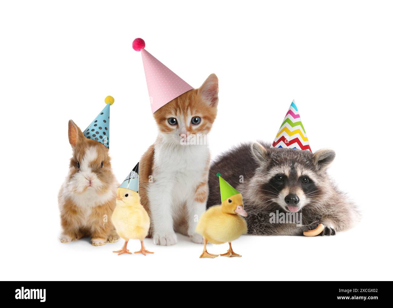 Many different animals with party hats on white background Stock Photo ...