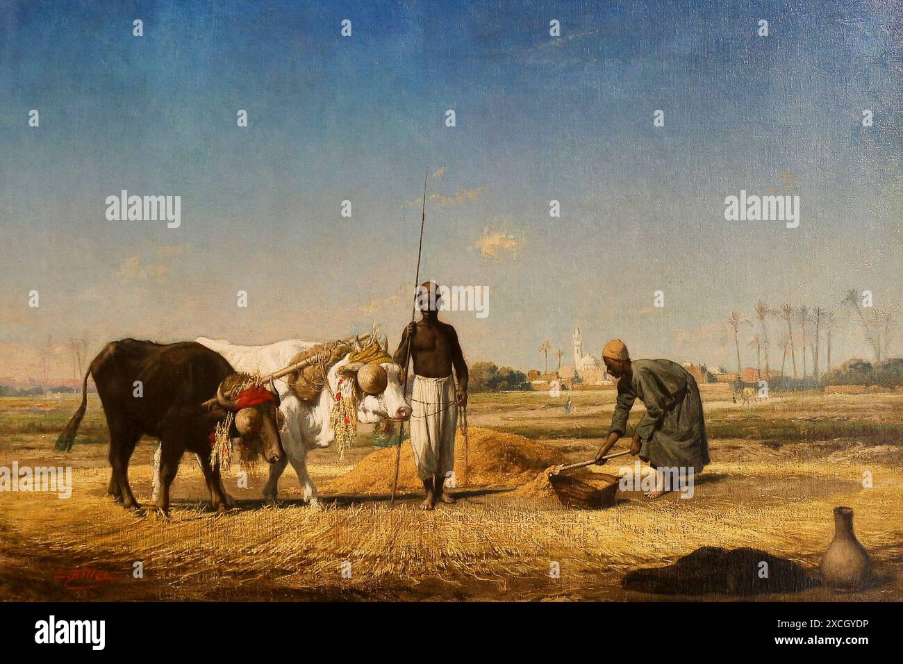 Kabilia hi-res stock photography and images - Alamy