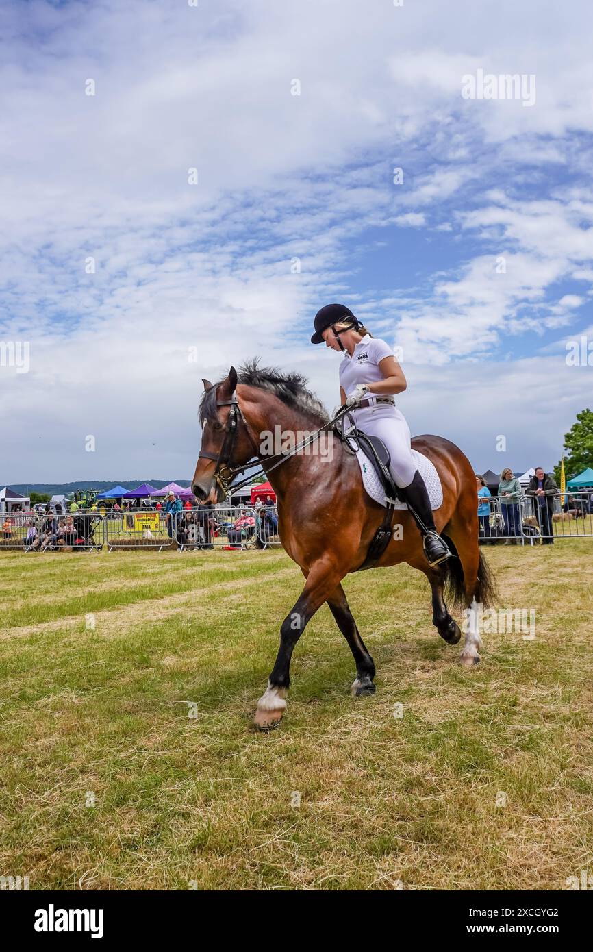 Powderham, UK. 15th June, 2024. Horse displays as part of the award ...