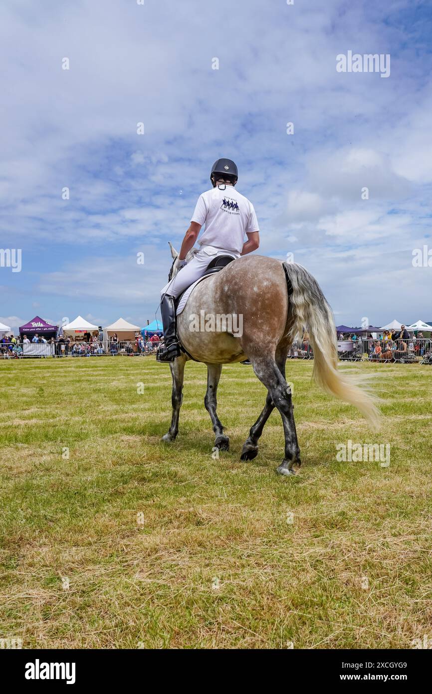Dog festival thomas faull hi-res stock photography and images - Alamy