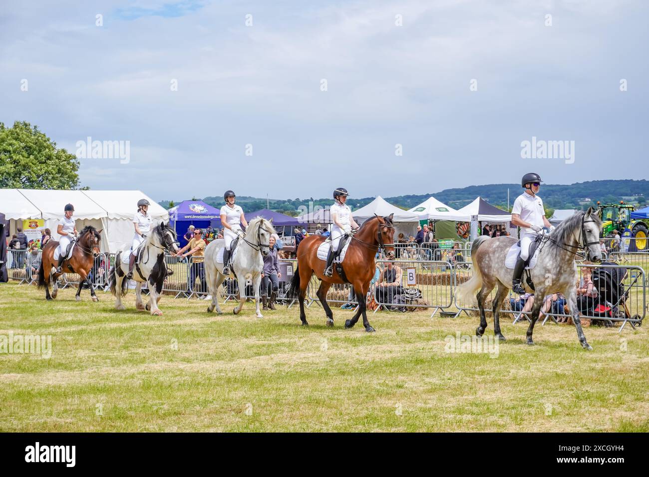 Dog festival thomas faull hi-res stock photography and images - Alamy