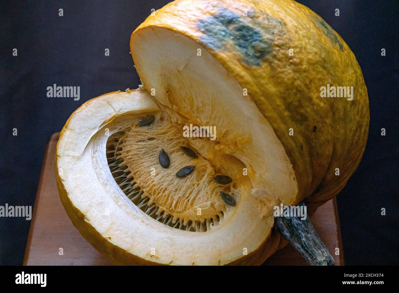 Cross-section of a pumpkin with cells for seeds Stock Photo - Alamy