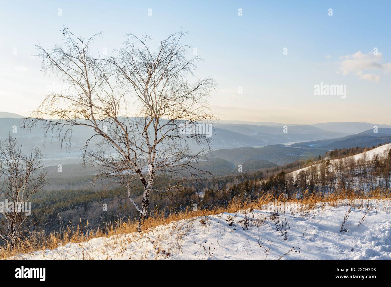 Lonely tree on a hilltop. Winter landscape Stock Photo - Alamy