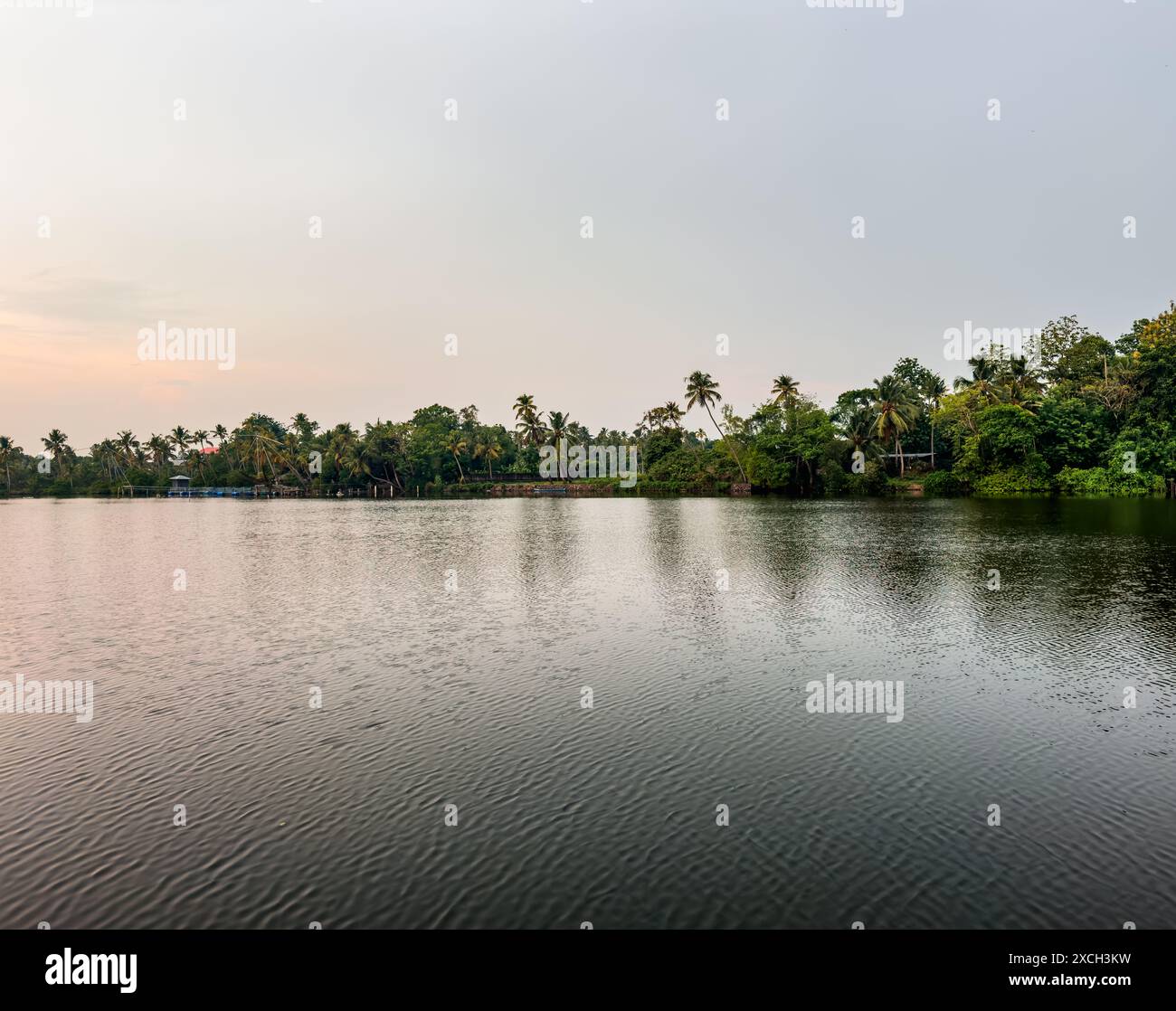 Beautiful view of the kochi backwaters in the indian state of Kerala ...