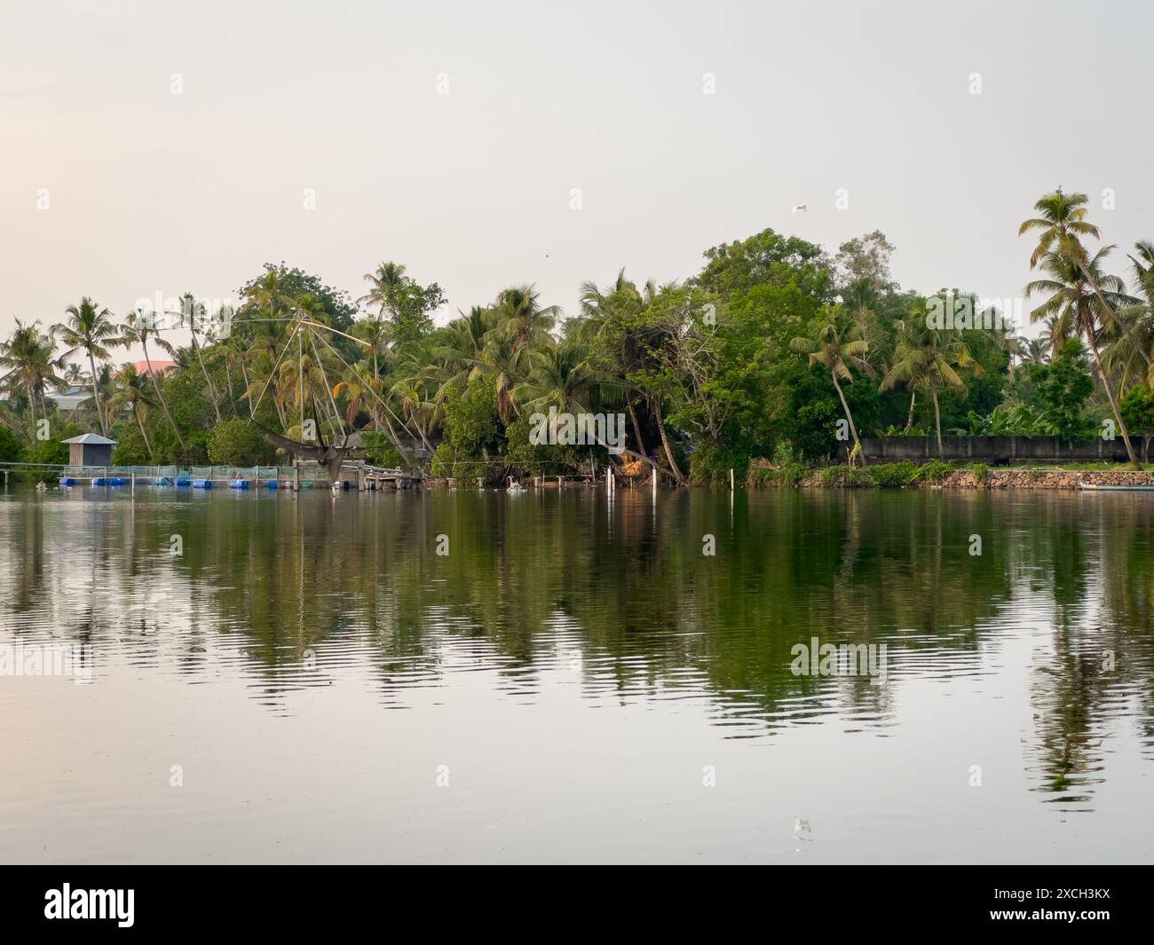 Beautiful view of the kochi backwaters in the indian state of Kerala ...