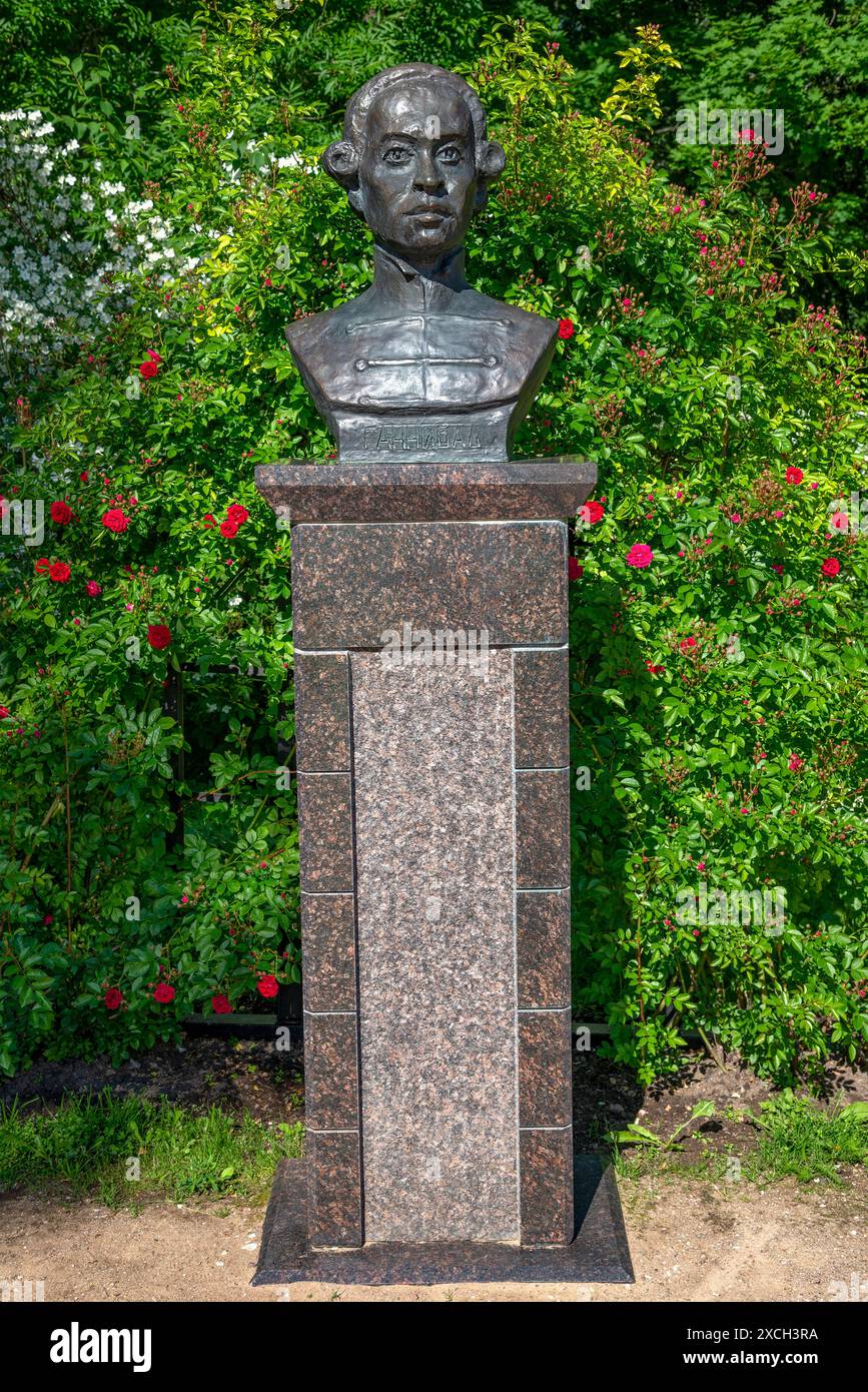 PSKOV REGION, RUSSIA - JUNE 12, 2024: Bust of Hannibal Peter Abramovich ...