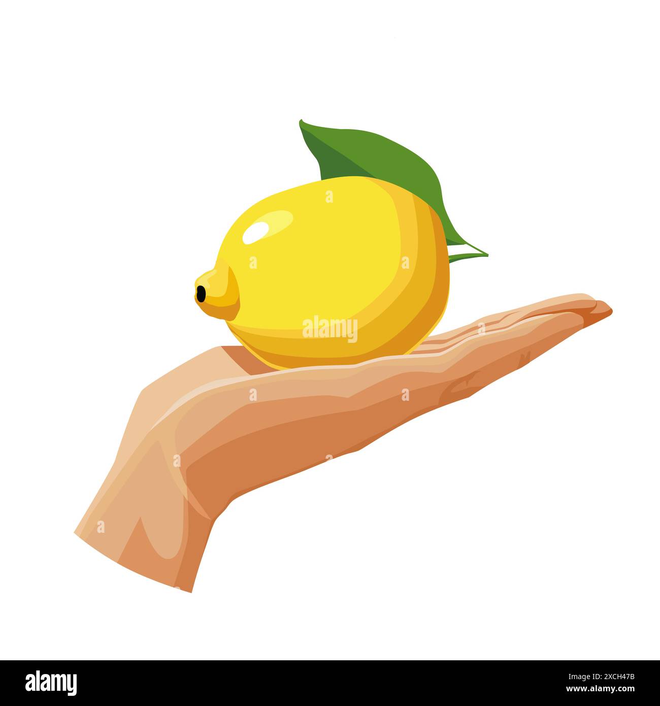 Freshly and healthy yellow lemon in the palm of the hand isolated on ...