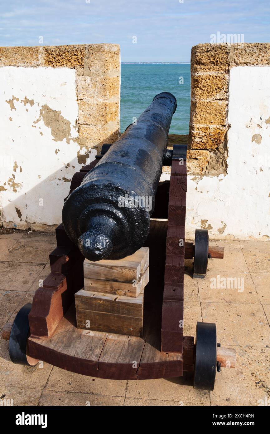 Old canon on the fortified sea wall Baluarte y Murallas de San Carlos ...