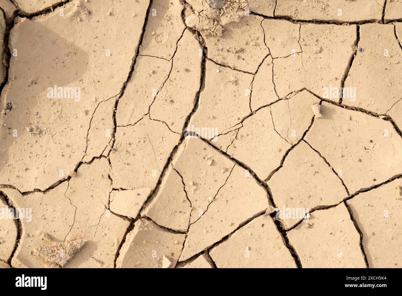 Close up of cracked brown dry soil. Pattern of cracks and chipped off ...