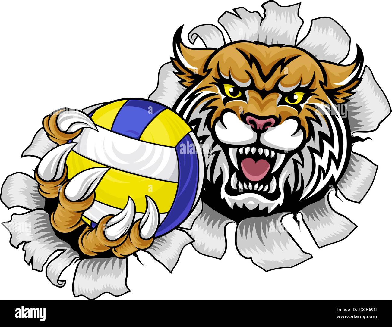 Wildcat Cougar Lynx Lion Volleyball Claw Mascot Stock Vector Image ...