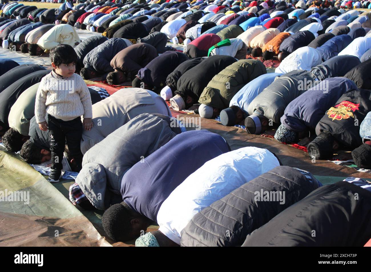 Pretoria, Gauteng, South Africa. 17th June, 2024. Eid-ul-Adha (also ...