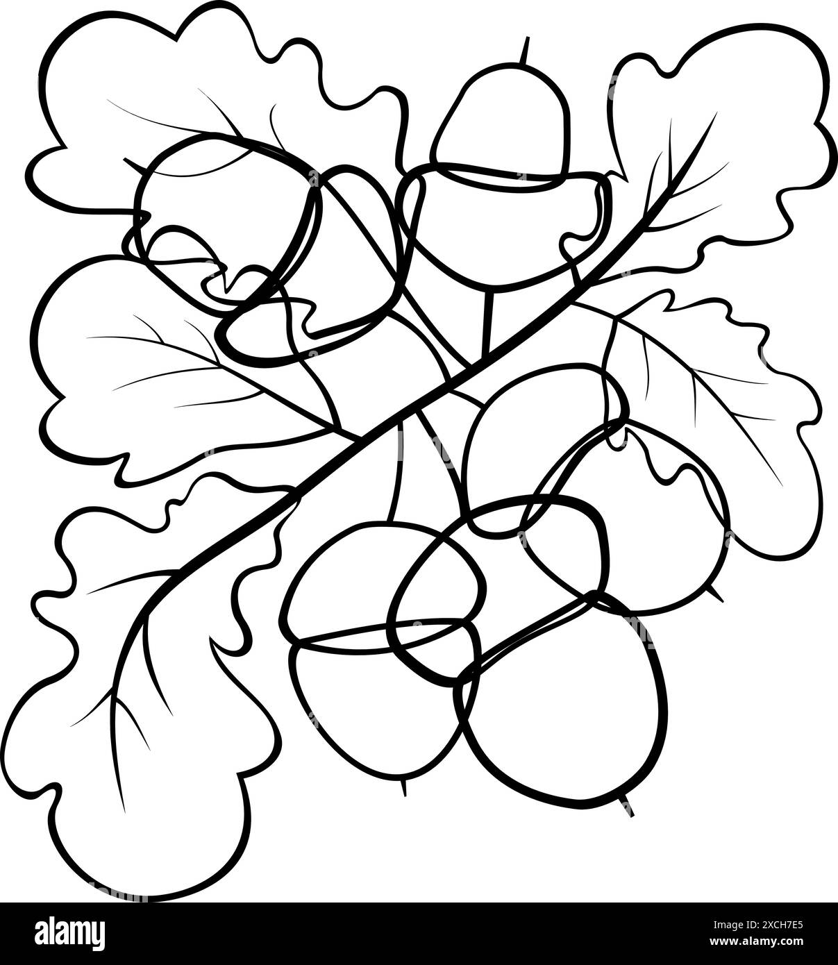 Abstract acorns leaves and fruits black outline Stock Vector Image ...