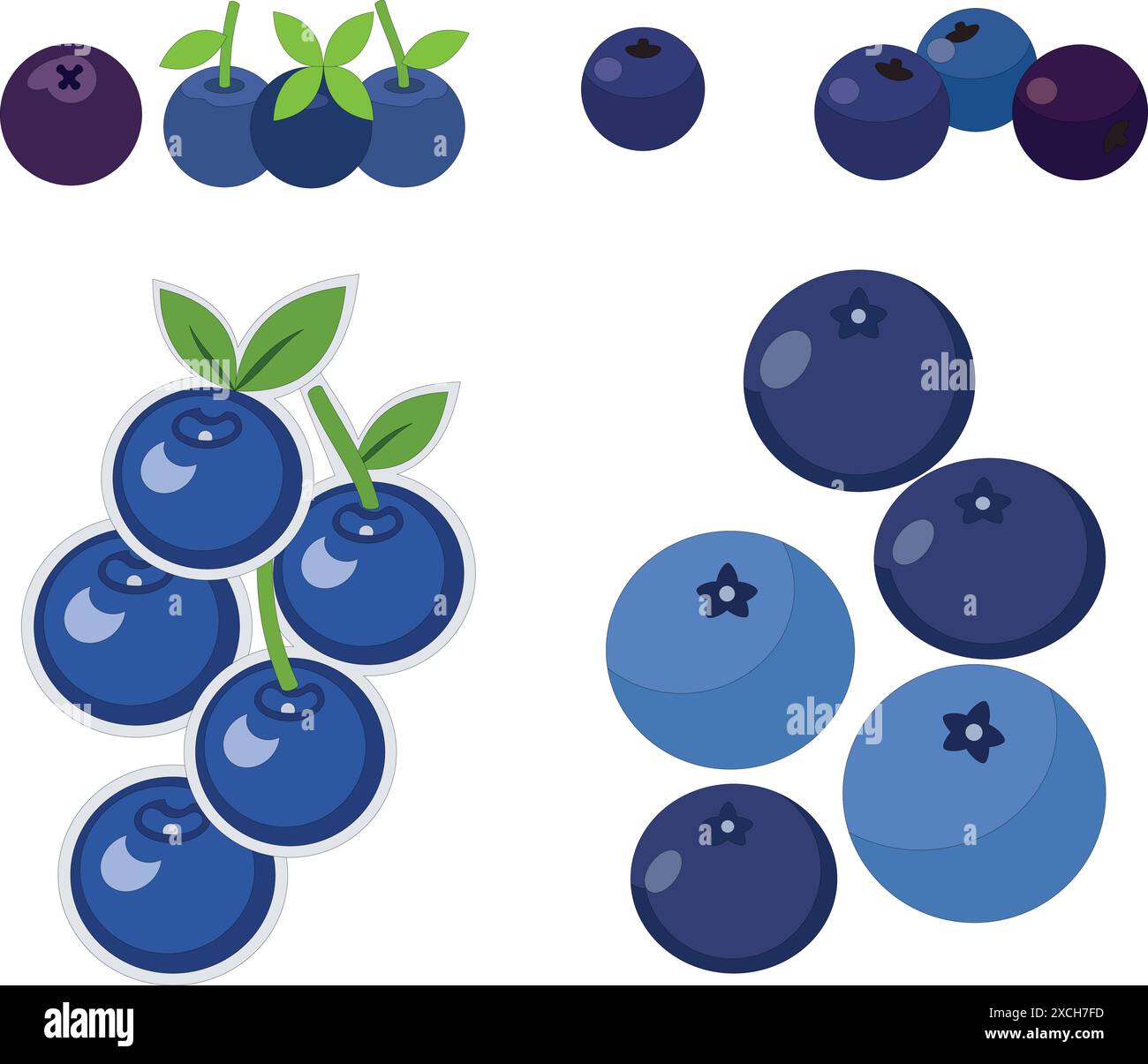 Blueberry isolated blueberries white Stock Vector Images - Alamy
