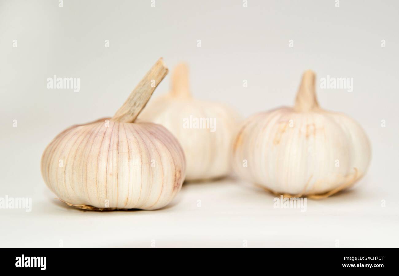fresh garlic bulb isolated on white background Stock Photo - Alamy