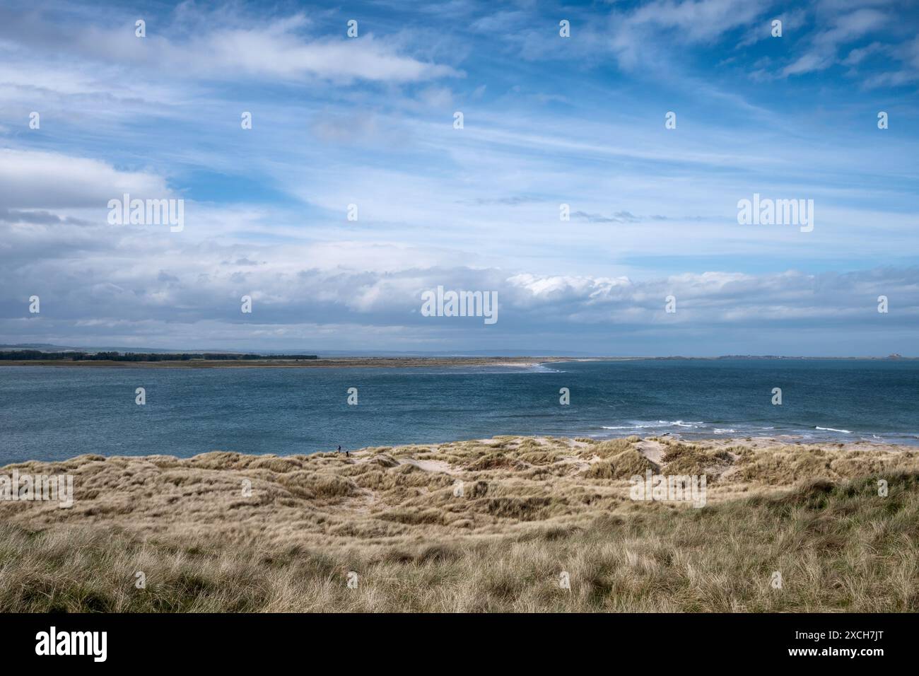Budle Bay, Northumberland Stock Photo - Alamy