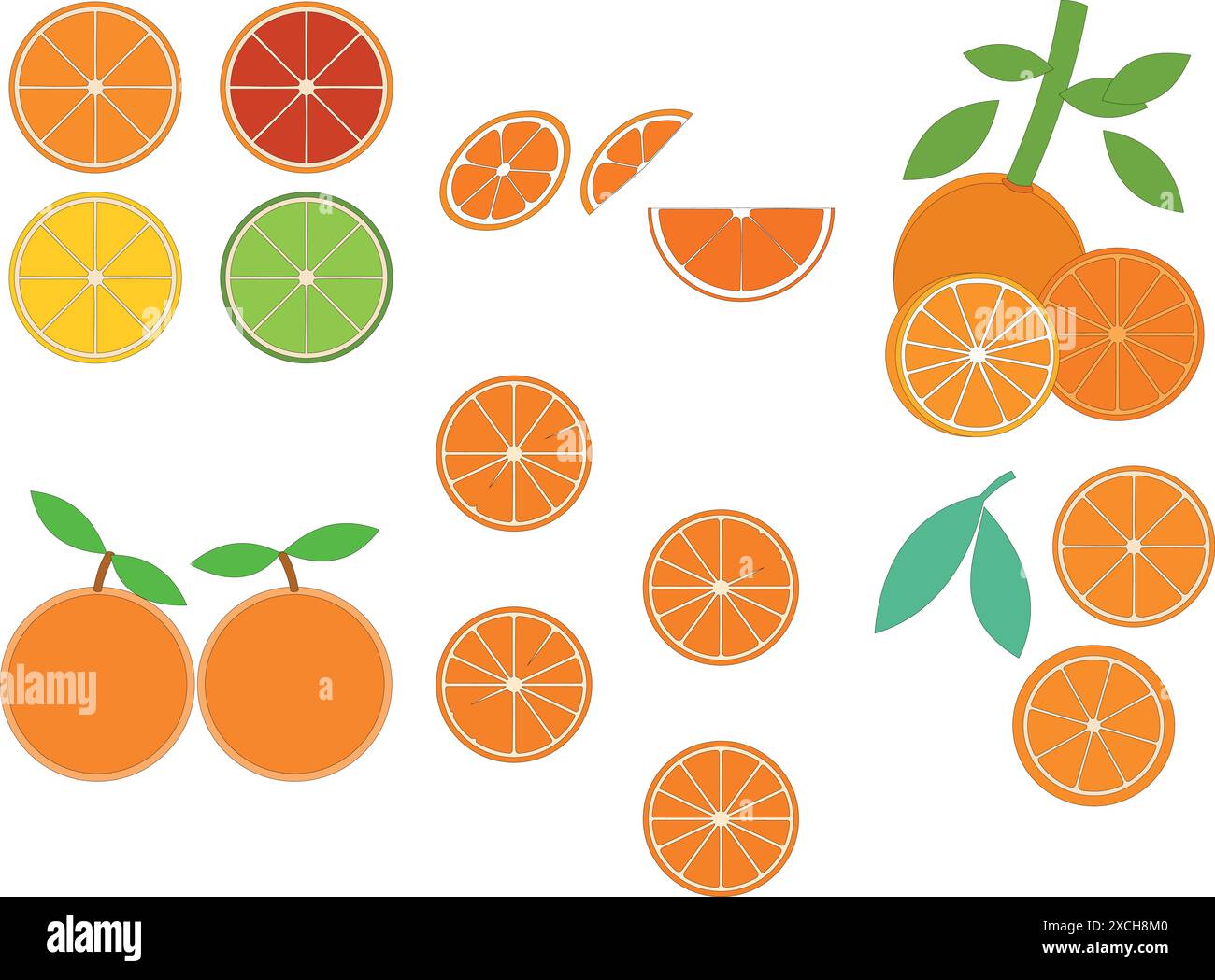 Juicy bright orange fruit Stock Vector Images - Alamy