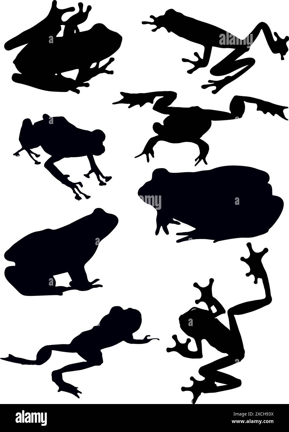 Silhouette of black frogs on a white background Stock Vector Image ...