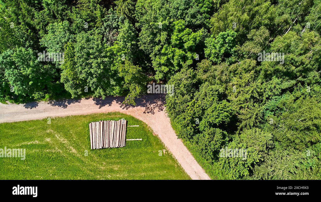 Kammlach, Bavaria, Germany - June 16, 2024: Aerial view of a forest in ...