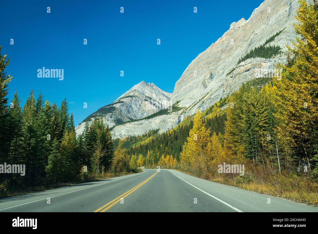 Driving in banff national park hi-res stock photography and images - Alamy