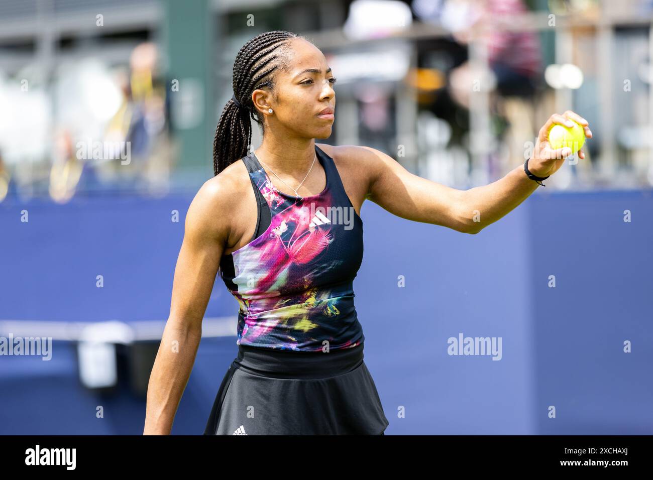 Maya joint hi-res stock photography and images - Alamy