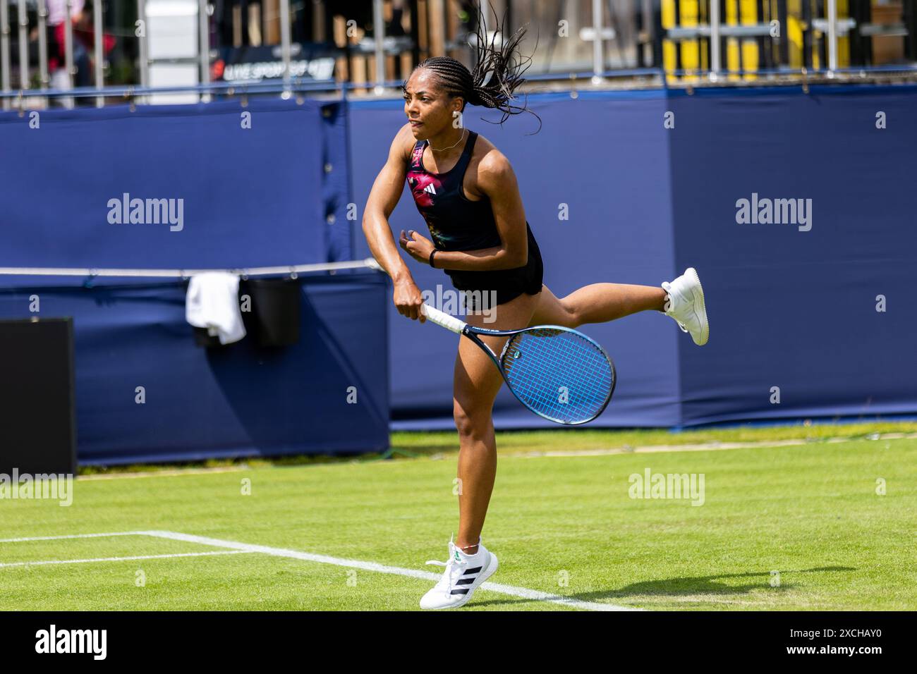 Maya joint hi-res stock photography and images - Alamy