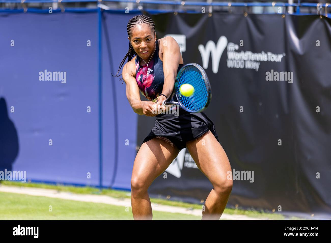 Maya joint hi-res stock photography and images - Alamy