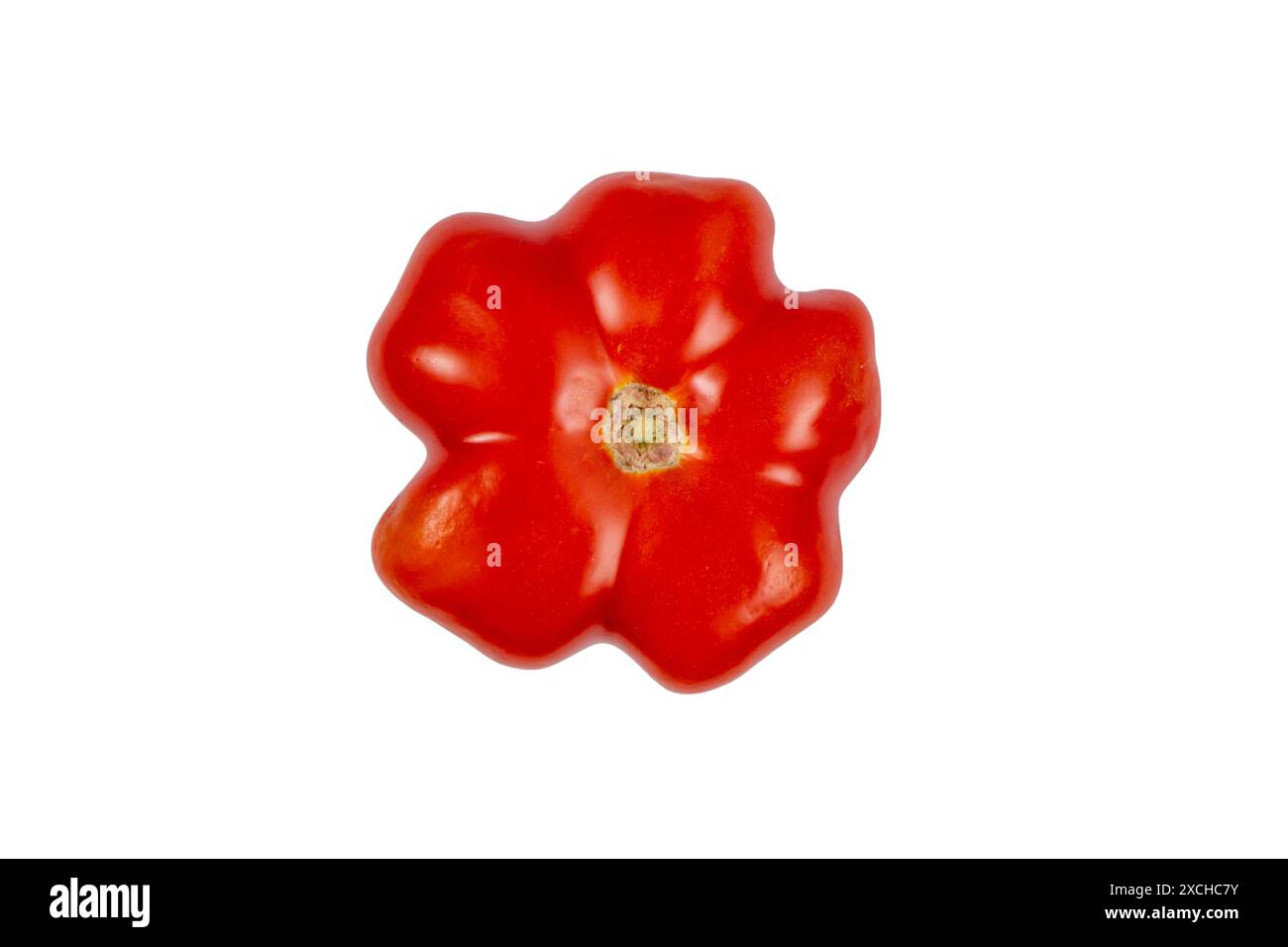 Flower shaped huge tomato top view close up isolated on white Stock ...