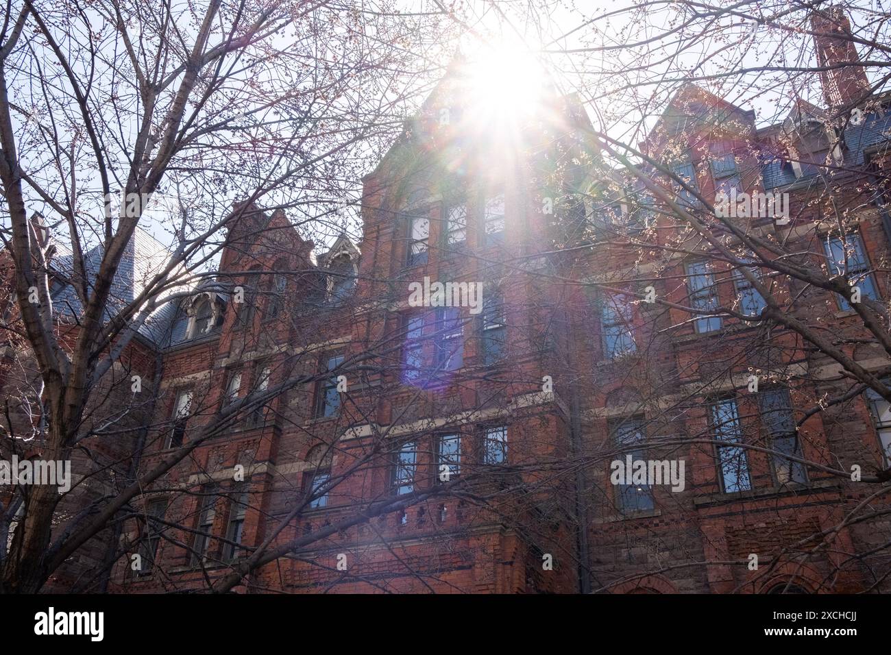 Koerner Hall, the concert hall of the Royal Conservatory of Music in ...