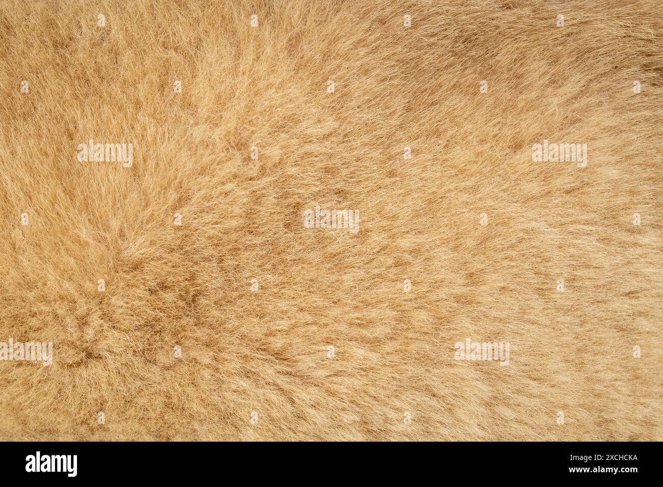 Sheep skin with fur, clothing supply , fiber texture Stock Photo - Alamy