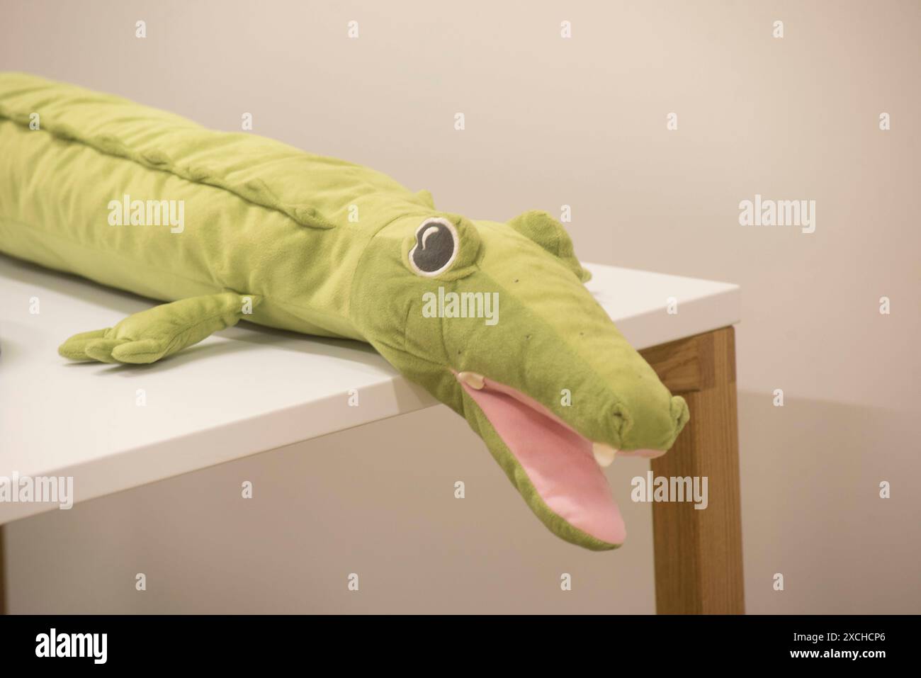 the crocodile belongs to the genus of lizards and can grow very large ...