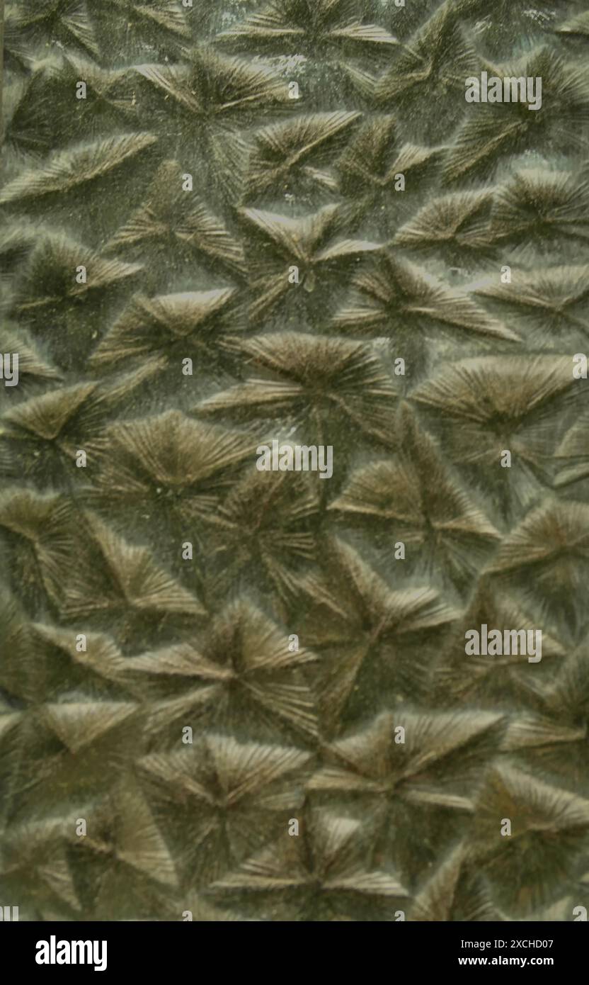 Artistic floral relief hi-res stock photography and images - Alamy