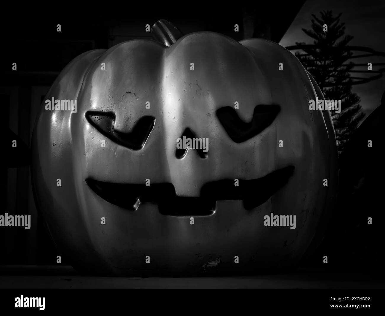 Close-up portrait of Halloween Jack o Lantern Pumpkin with a spooky ...