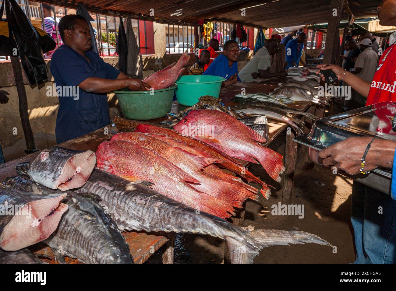 Maputo Fish Market Maputo Fish Market, Mozambique