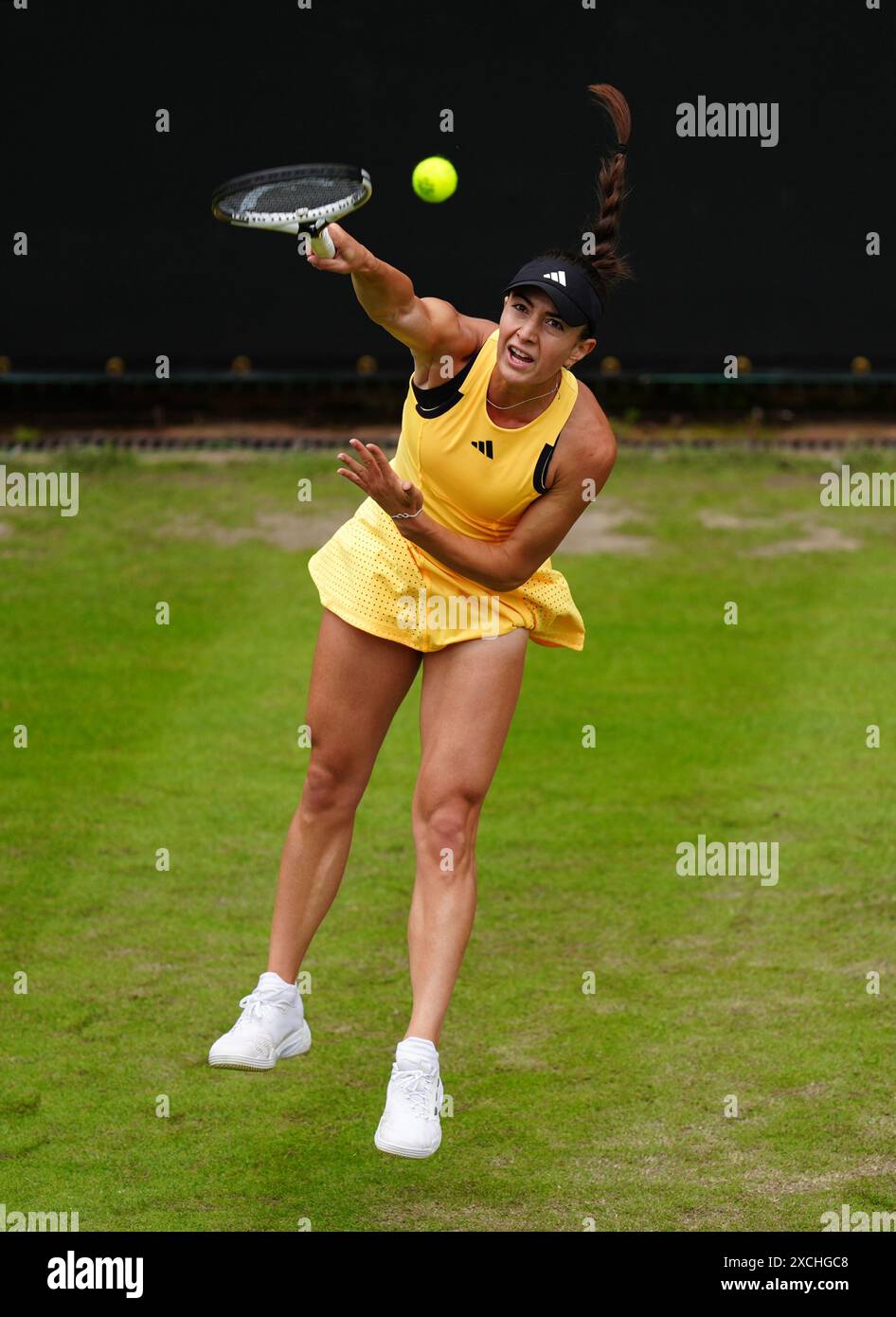 Elina avanesyan hi-res stock photography and images - Alamy