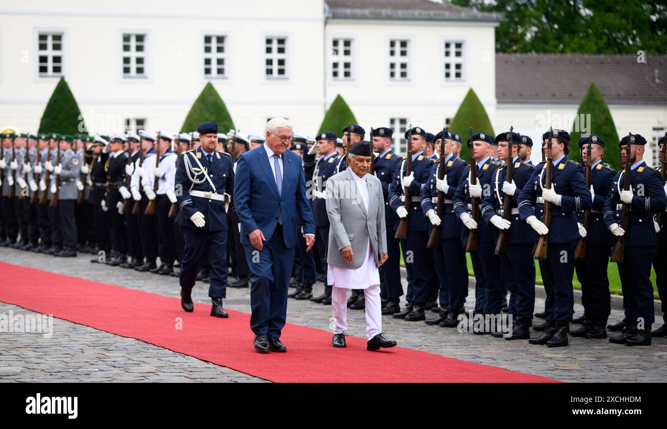 Berlin, Germany. 17th June, 2024. Federal President Frank-Walter ...
