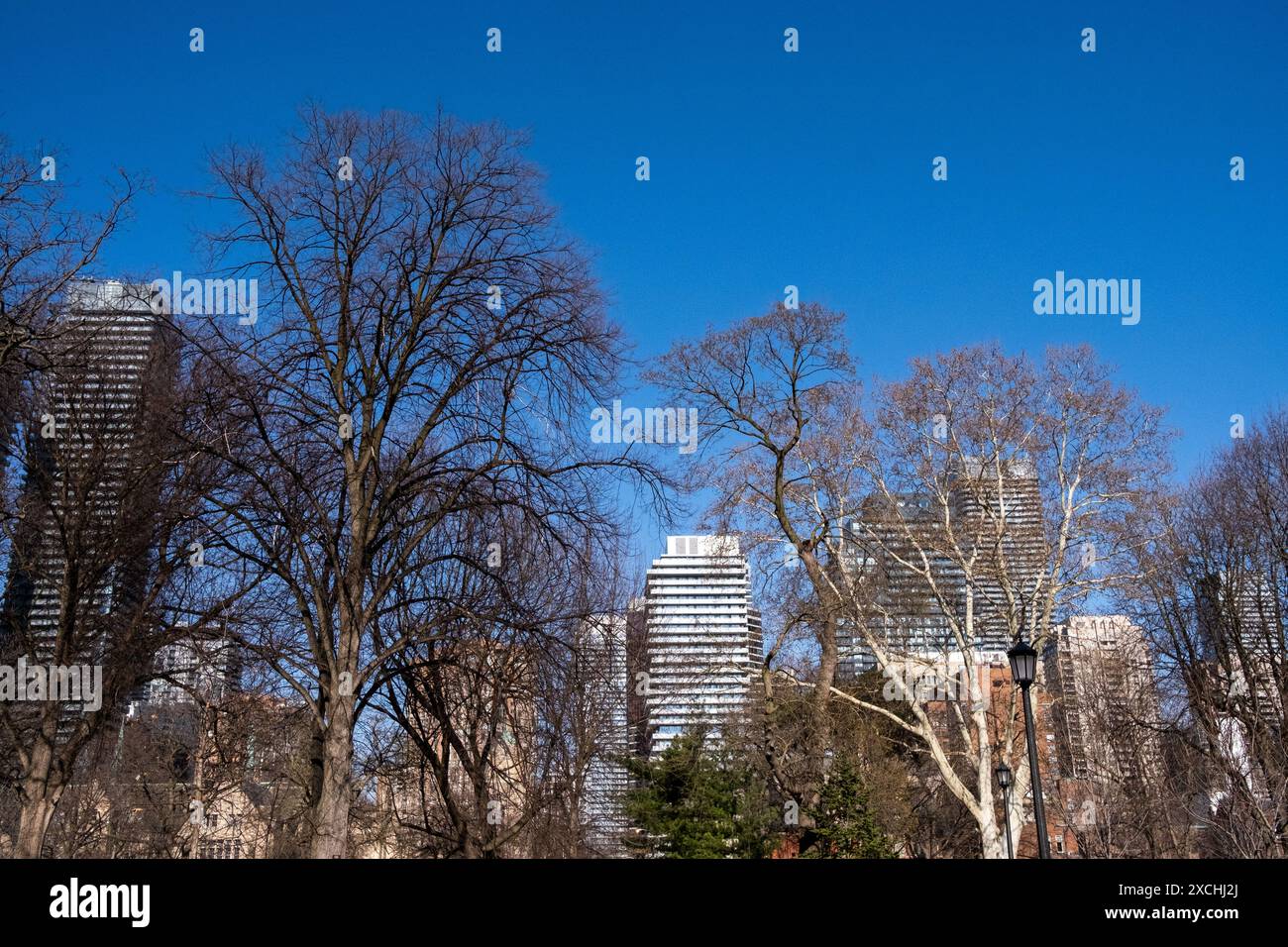 Queen s Park with an urban landscape of residential and office towers ...