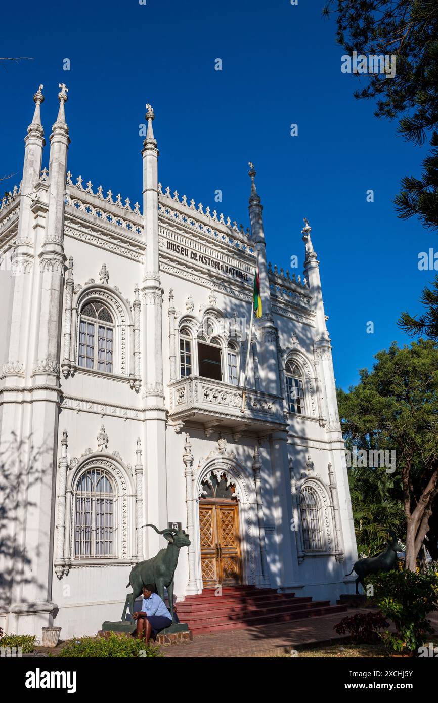 Mozambique, Maputo, Maputo Cidade, Museu De História Natural, Natural ...