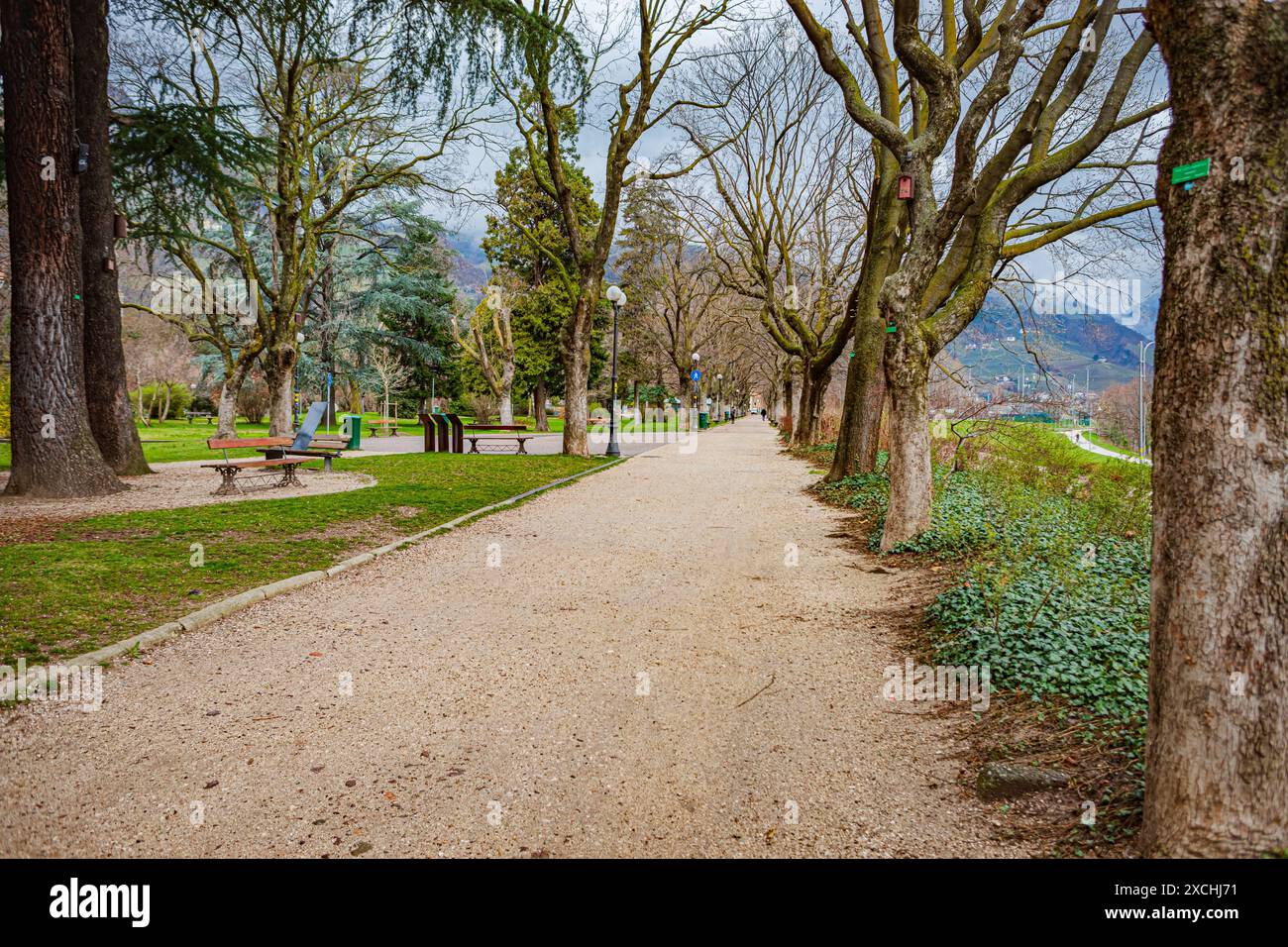 Parco petrarca hi-res stock photography and images - Alamy