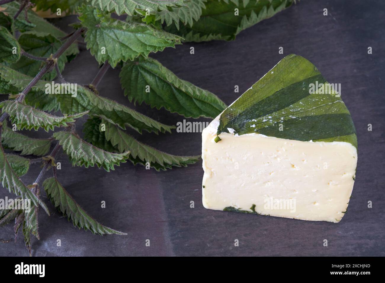 Cornish Yarg cheese is traditionally wrapped in nettle leaves Stock ...