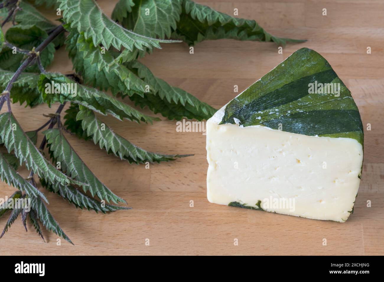 Cornish Yarg cheese is traditionally wrapped in nettle leaves Stock ...