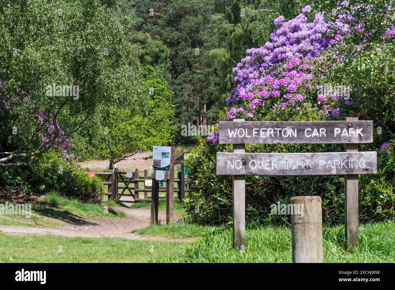 The Wolferton Car Park on the Sandringham Estate Stock Photo - Alamy
