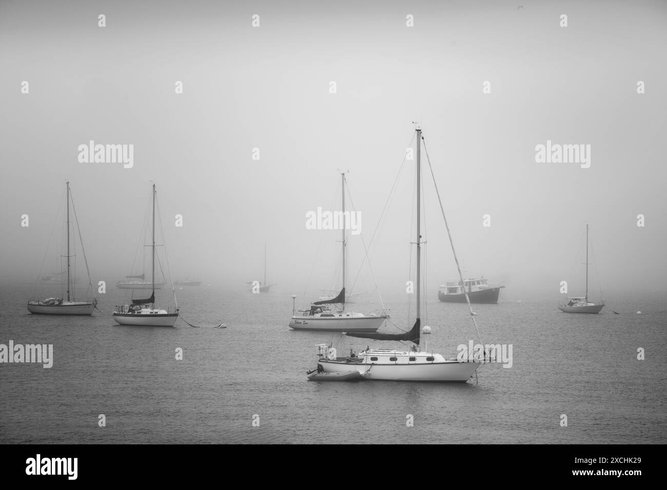 Sailboats in fog with sunrise. Penobscott Bay. Rockland, Maine Stock ...