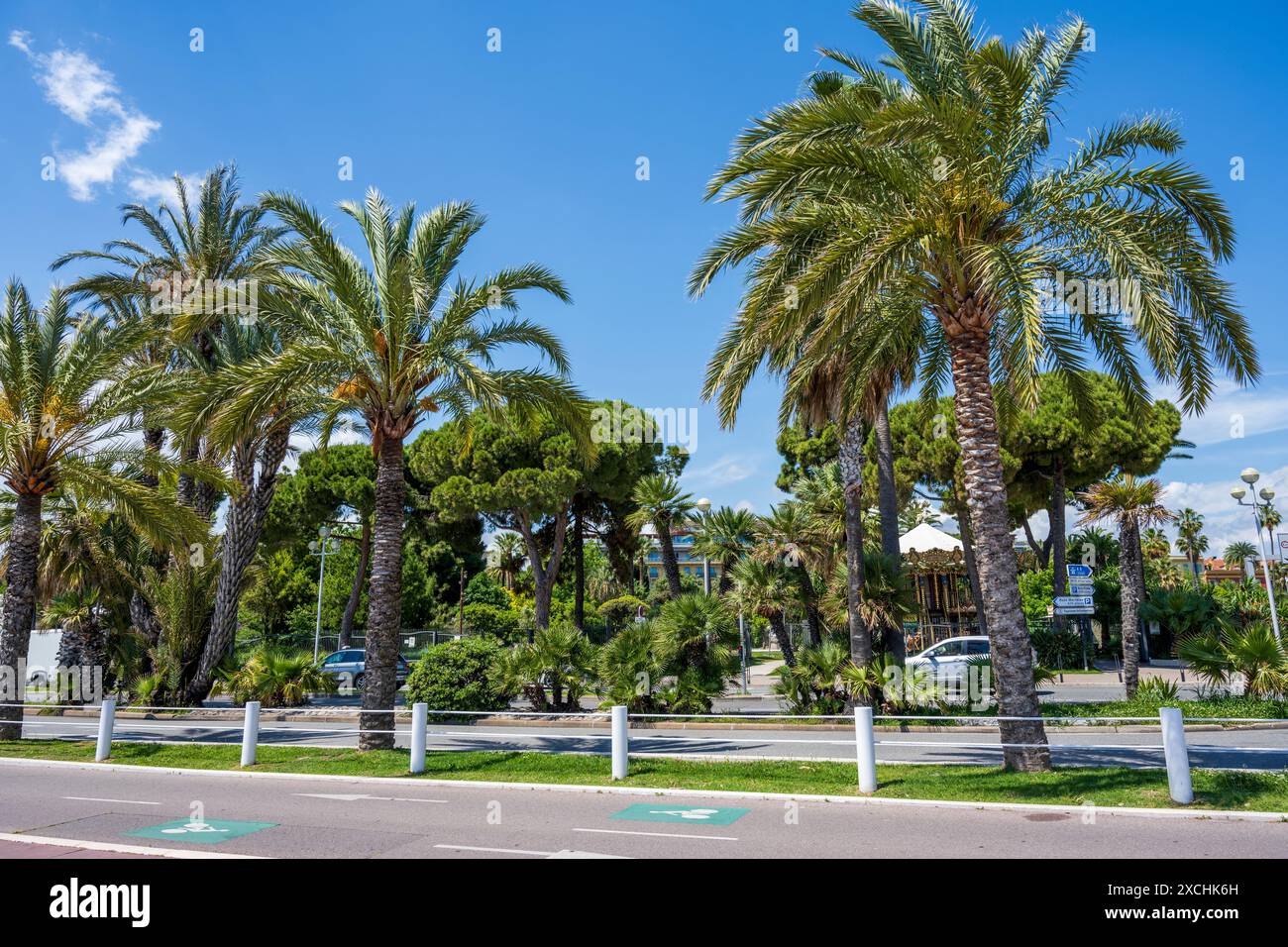 Palm trees on Promenade des Anglais, with Jardin Albert 1er beyond, on ...