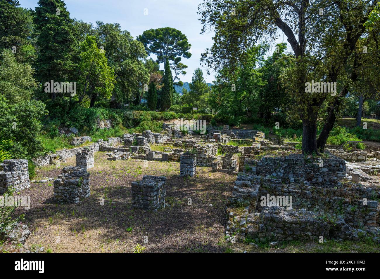 Ruins of medieval cathedral on Colline du Château (hilltop park) in old ...