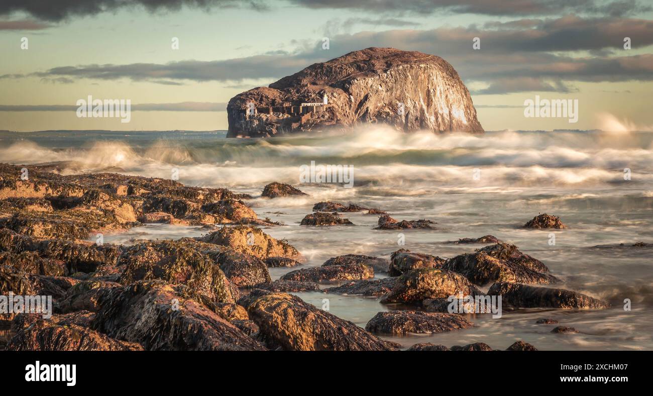 Horizontal image of Bass Rock, Scotland's east coast, from a rocky ...