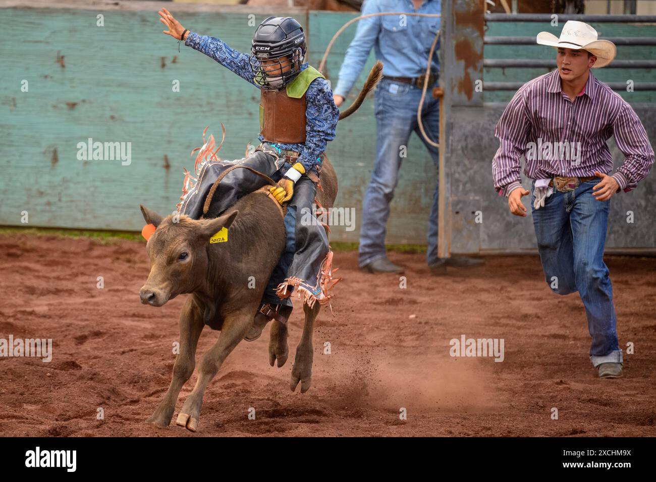Young riders test the waters of competition by using smaller animals ...