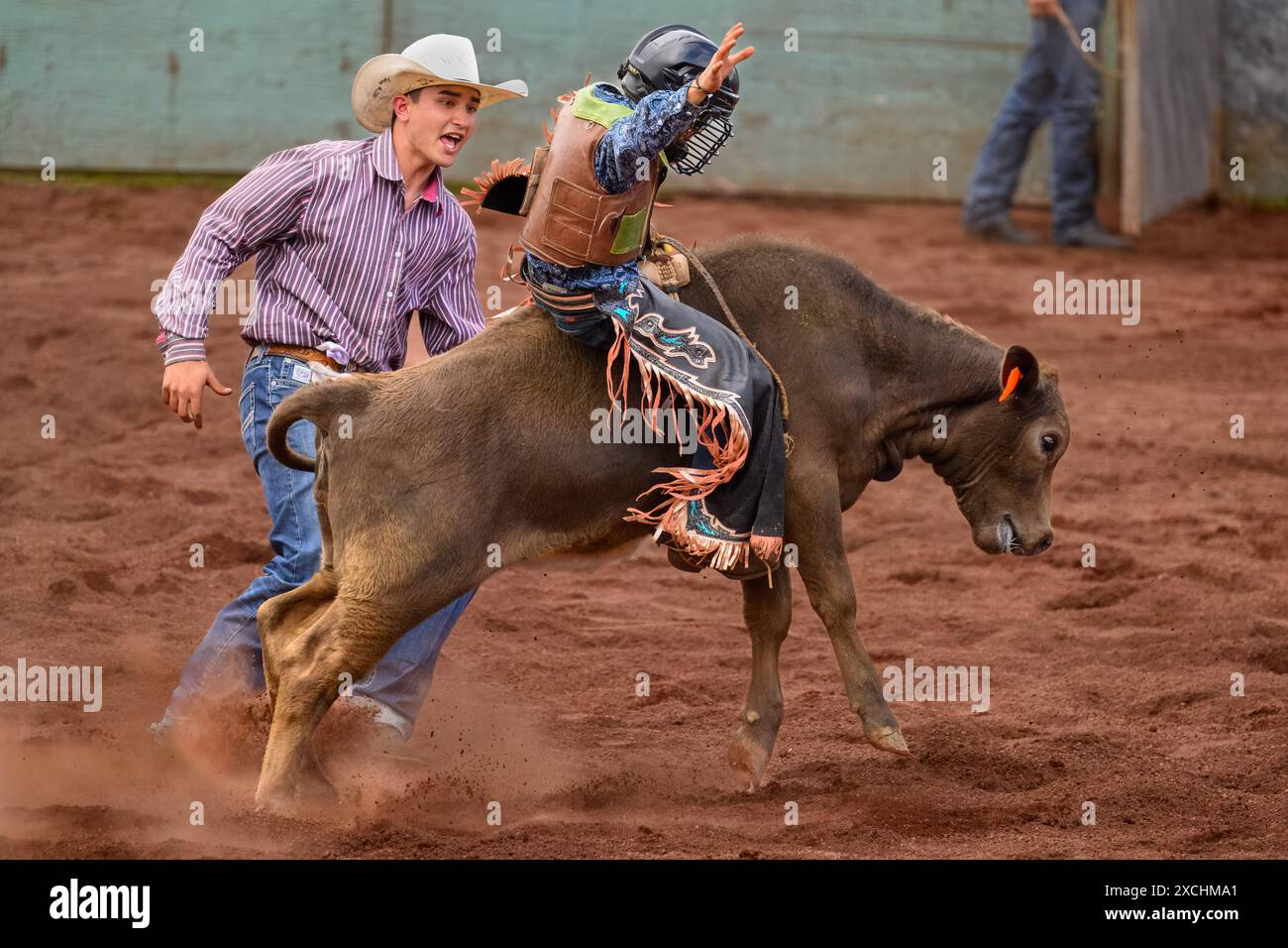 Young riders test the waters of competition by using smaller animals ...