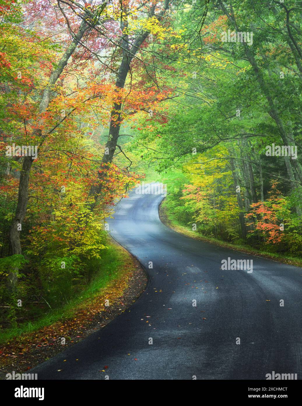 Maine backroad hi-res stock photography and images - Alamy
