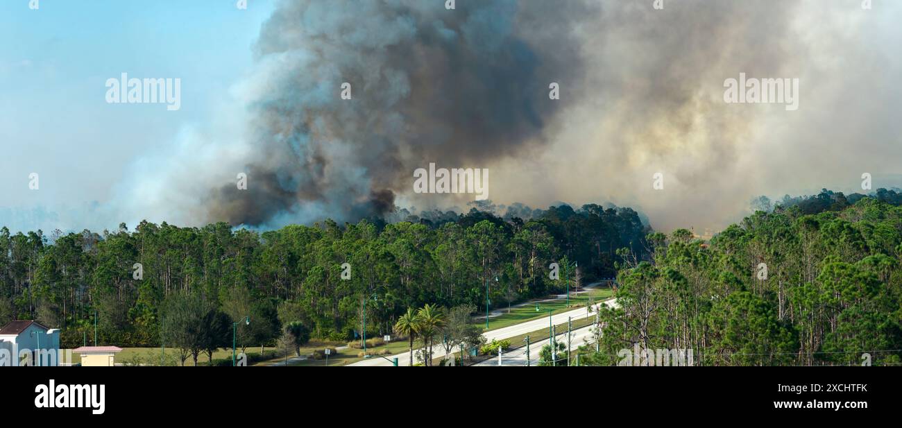 Aerial view of large wildfire burning severely in Florida jungle woods ...